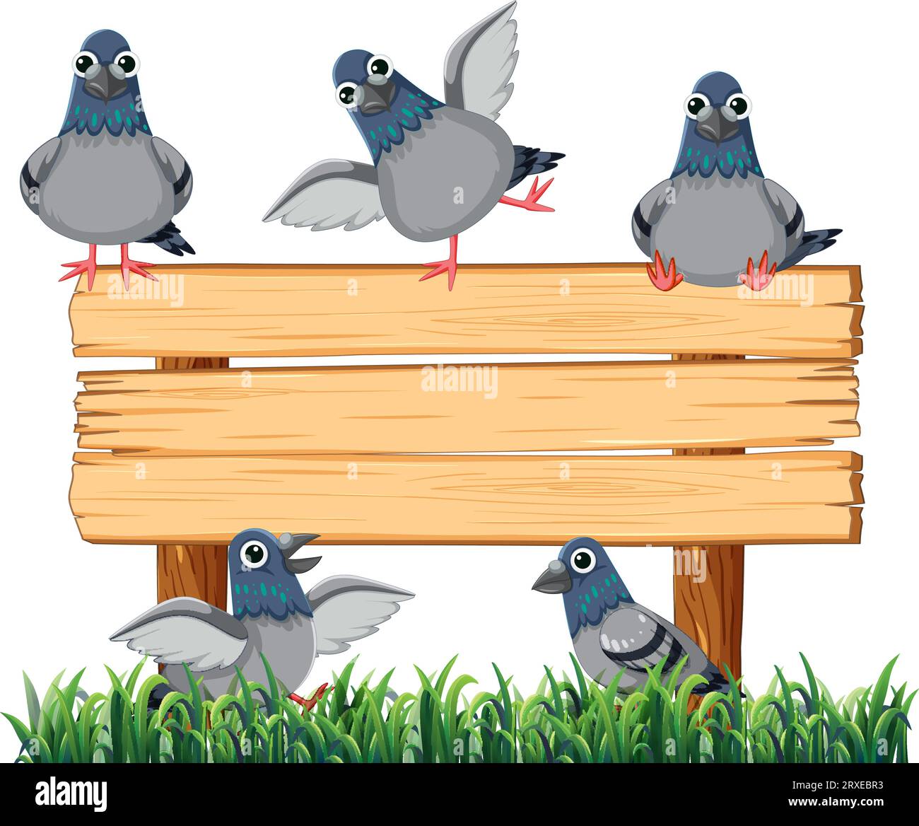 Vector cartoon illustration of pigeons standing at a signboard frame ...