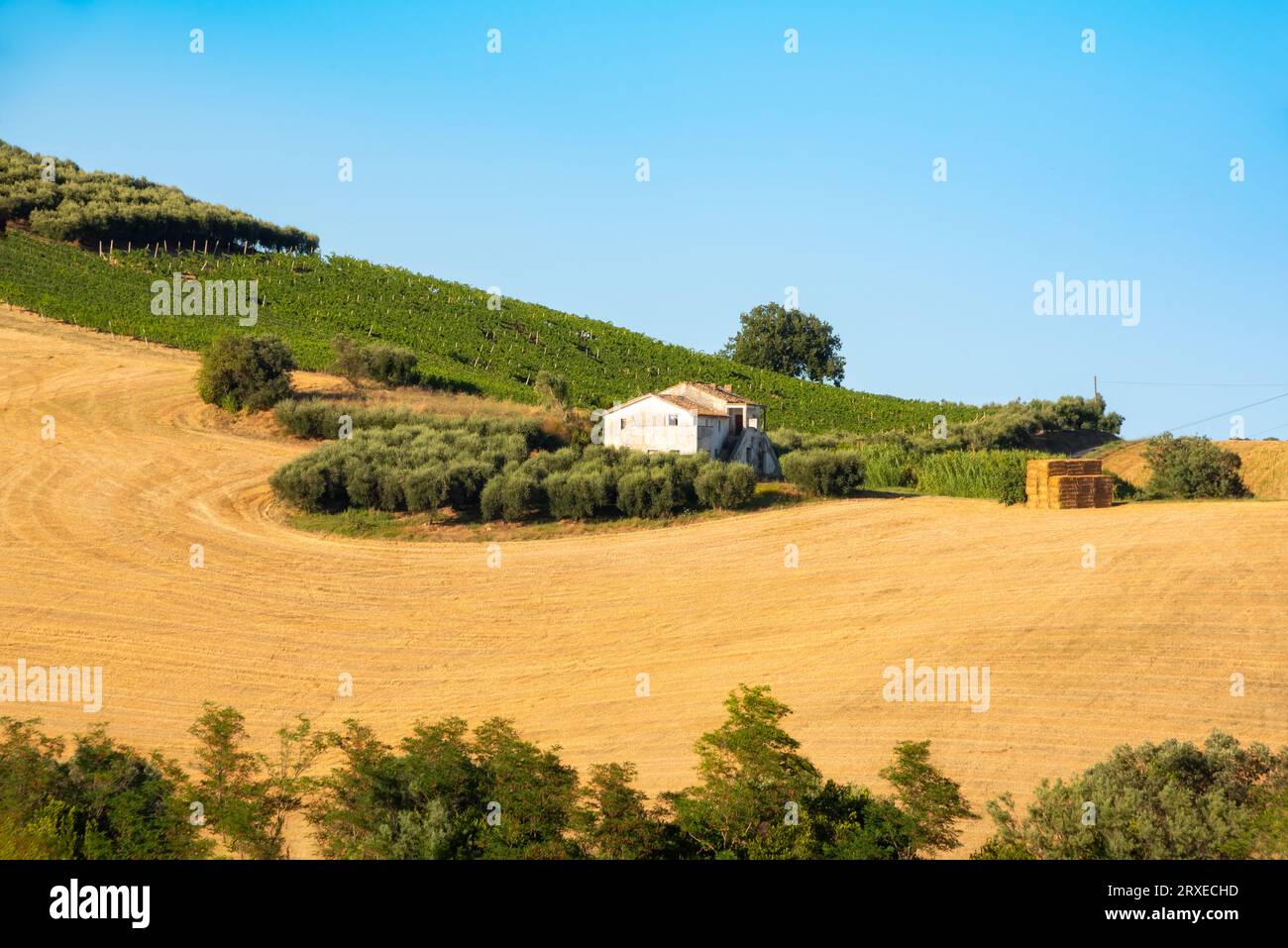 Country house on farm lands in summer Stock Photo - Alamy