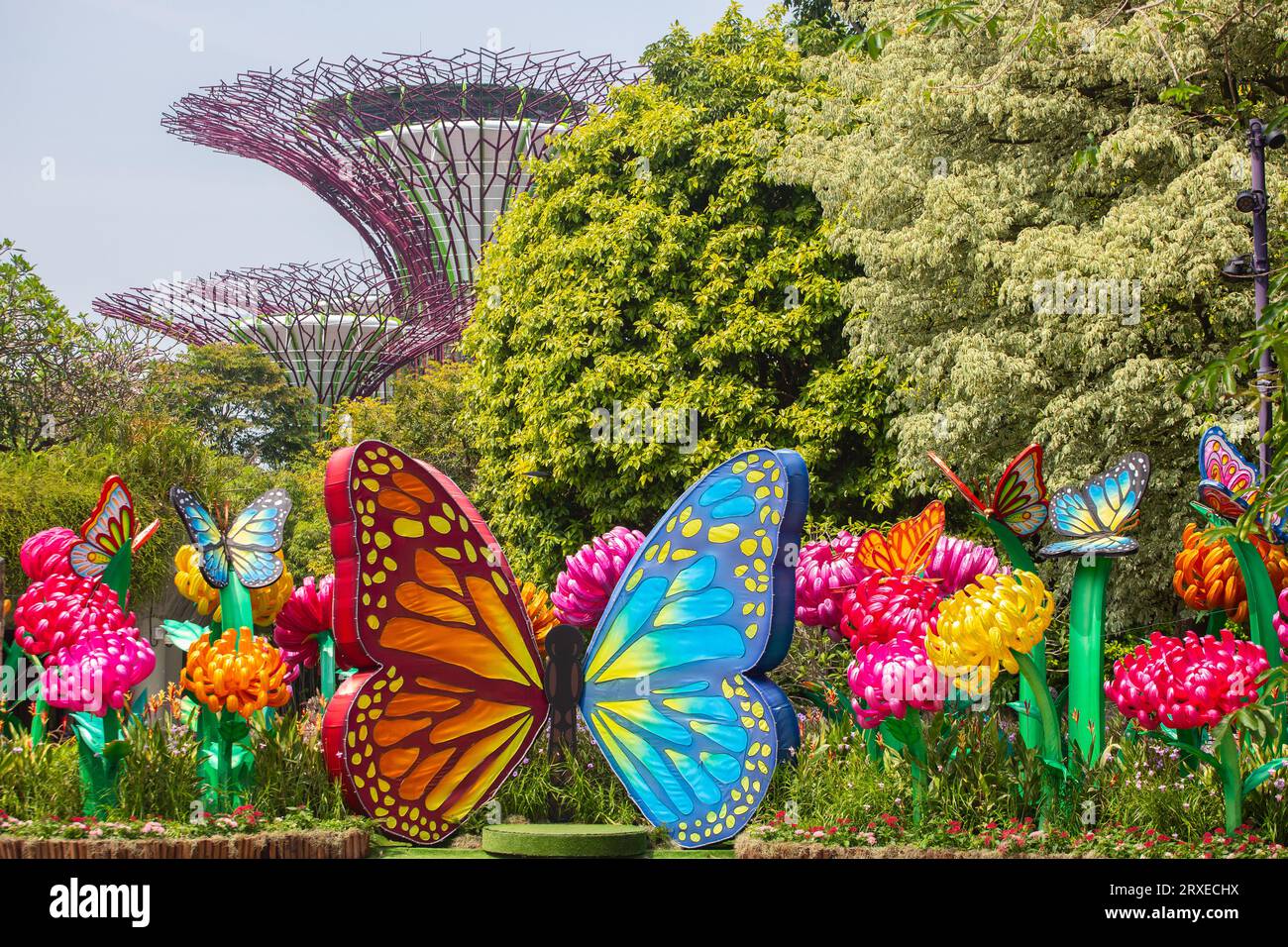 Colourful display of butterflies and saturated colourful flowers at ...