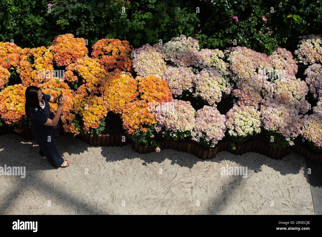 View beautiful chinese gardens hi-res stock photography and images - Alamy