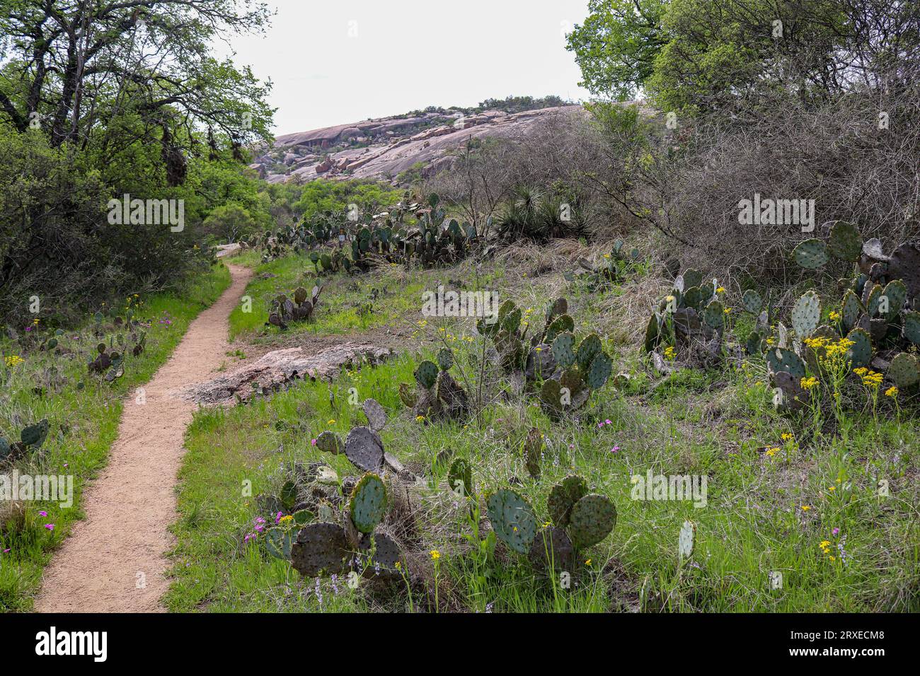 Nature trails and pathways through the Texas Hill Country, Enchanted ...