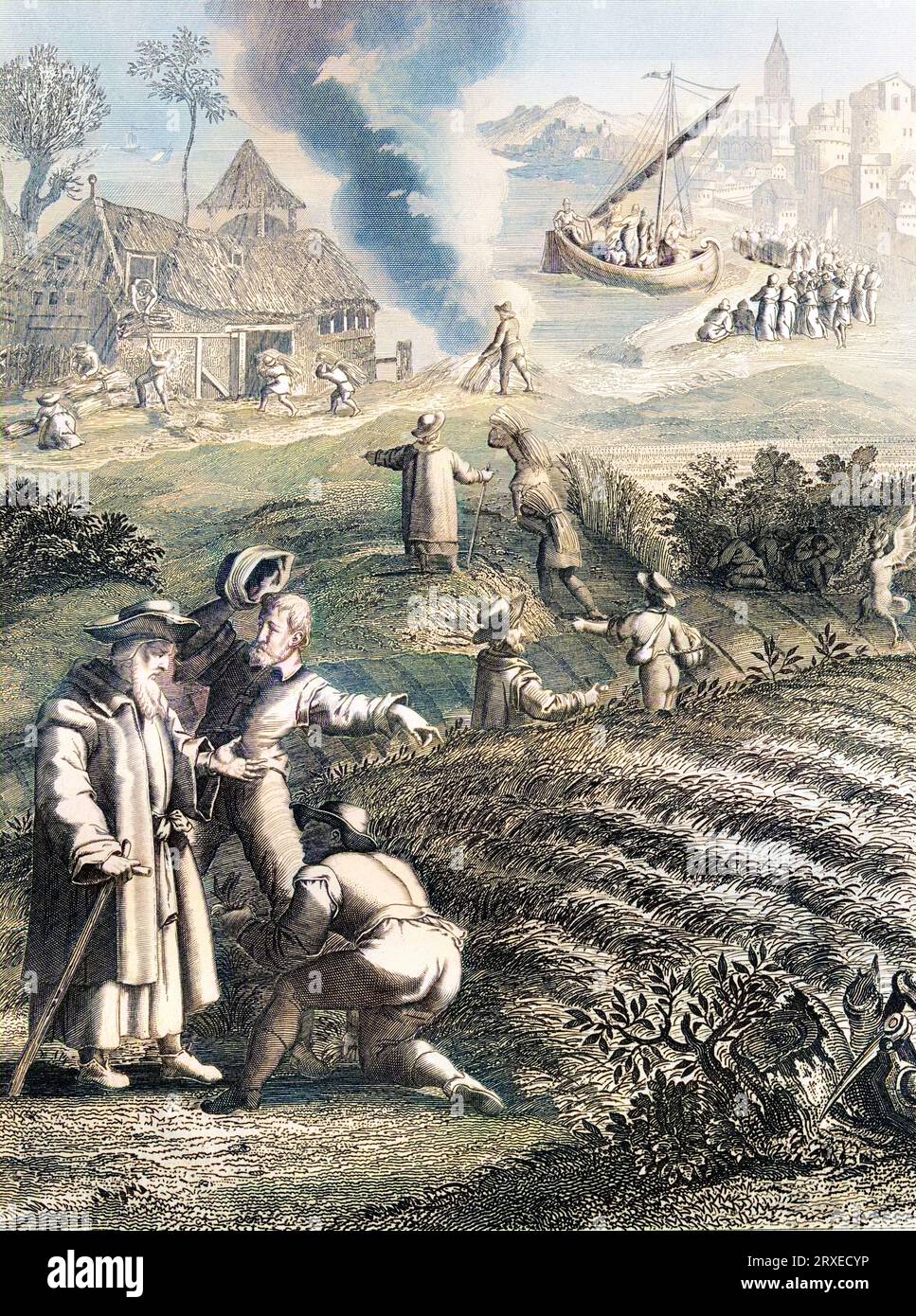 Parable of the wheat and tares hi-res stock photography and images - Alamy