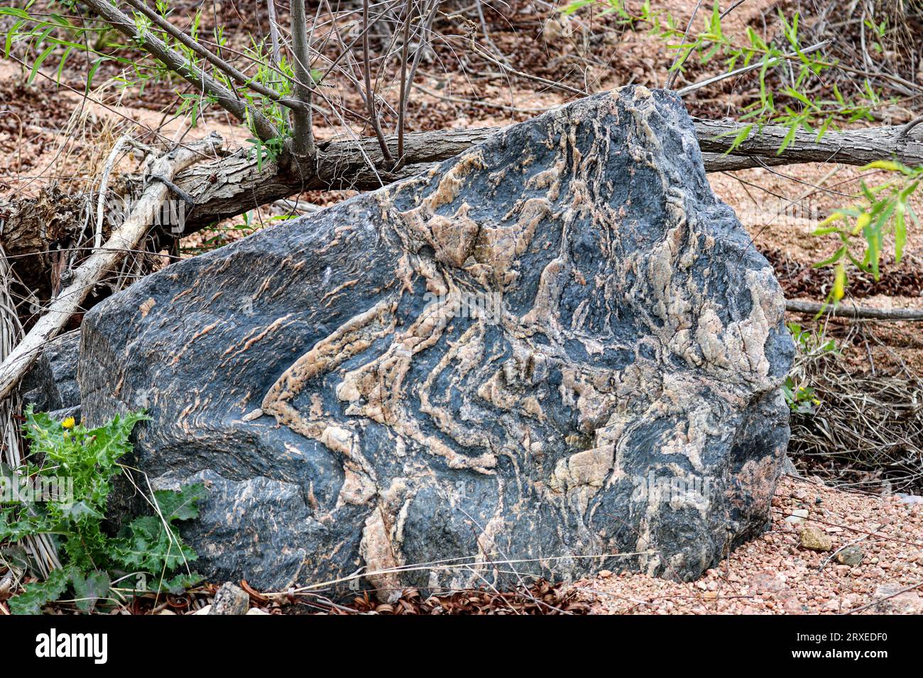 Granite geological stone and rock formations in the Texas Hill Country ...