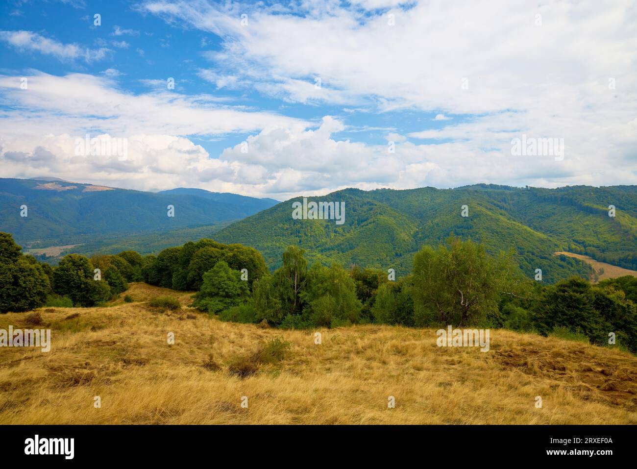 beautiful mountain landscape on a September day in the Carpathian ...