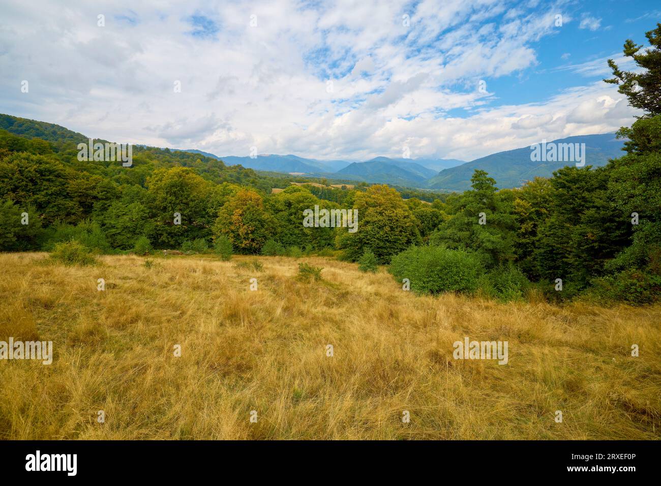 beautiful mountain landscape on a September day in the Carpathian ...