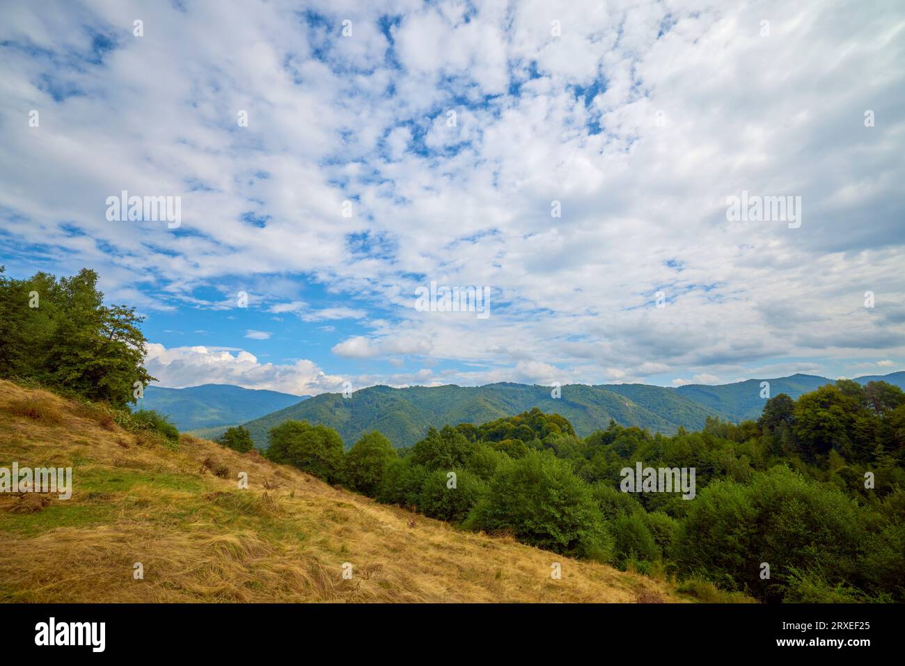 beautiful mountain landscape on a September day in the Carpathian ...