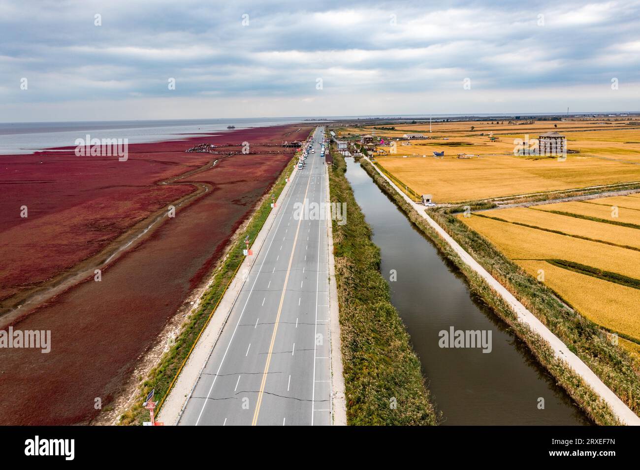 Aerial photo shows beautiful scenes of the red beach wetland in Panjin ...