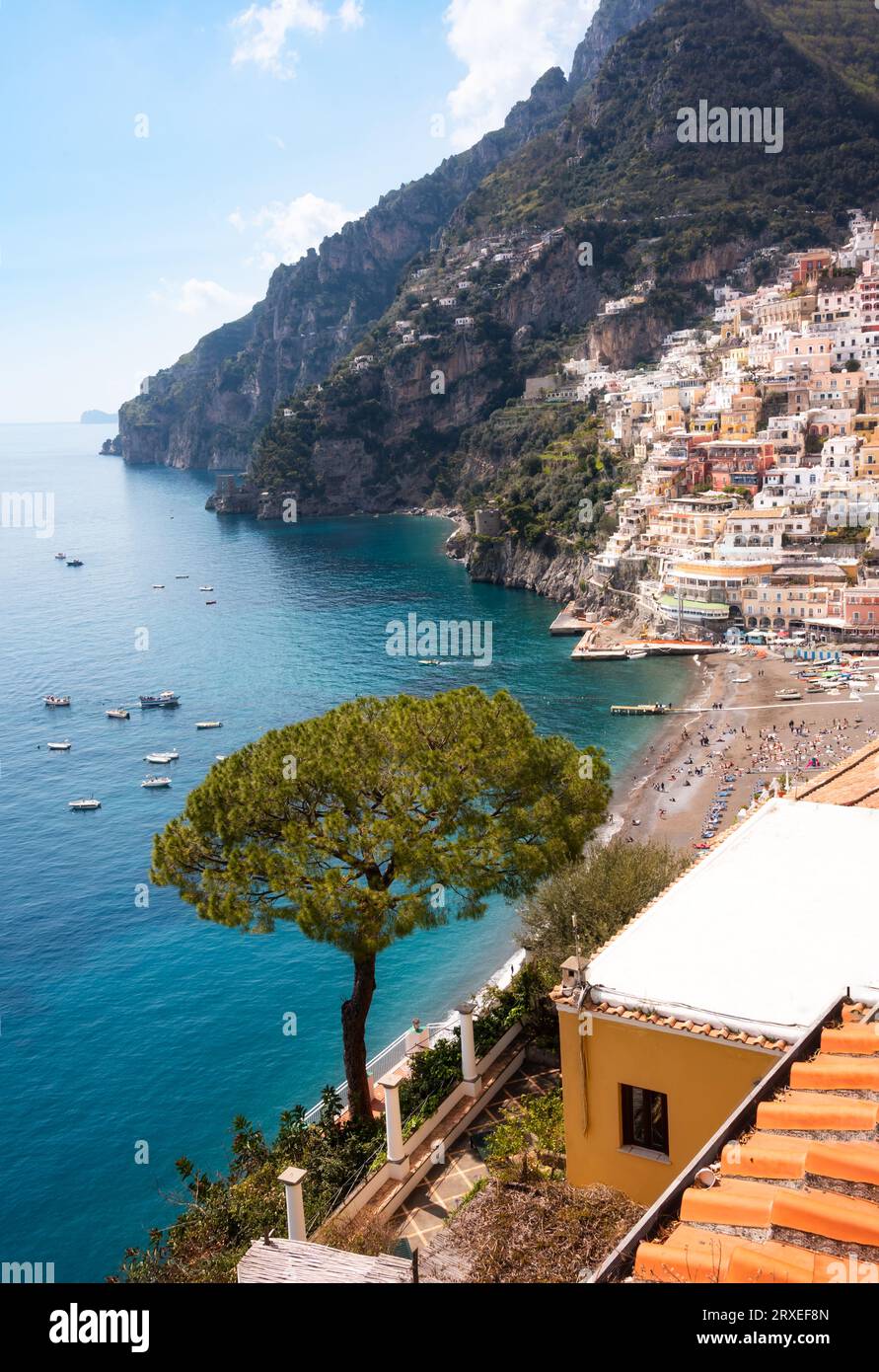 Pine tree and Positano town on Amalfi coast, Italy Stock Photo - Alamy