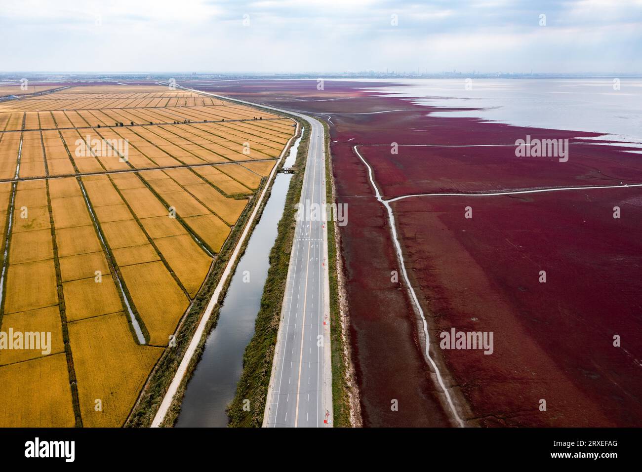 Aerial photo shows beautiful scenes of the red beach wetland in Panjin ...