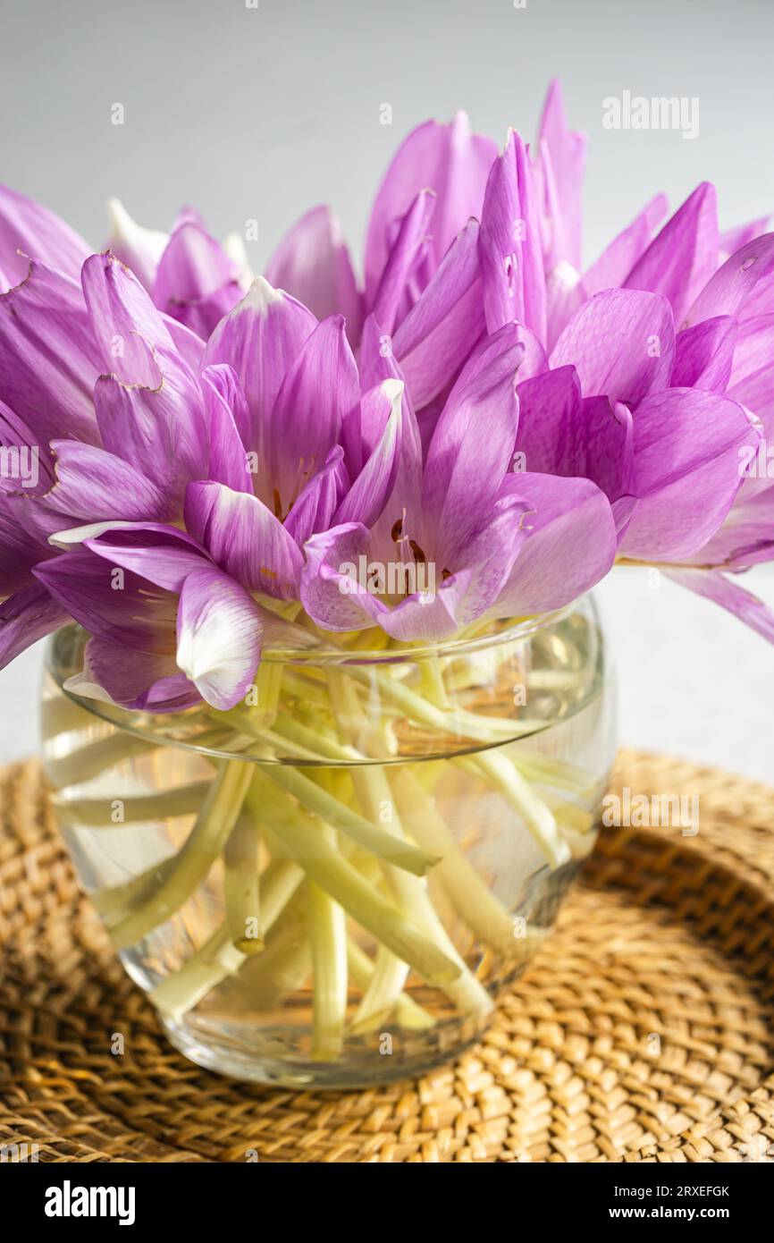 Bunch of purple crocus flowers in a glass vase Stock Photo - Alamy