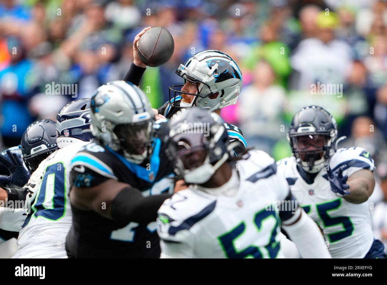 Carolina Panthers quarterback Andy Dalton falls back and is sacked ...