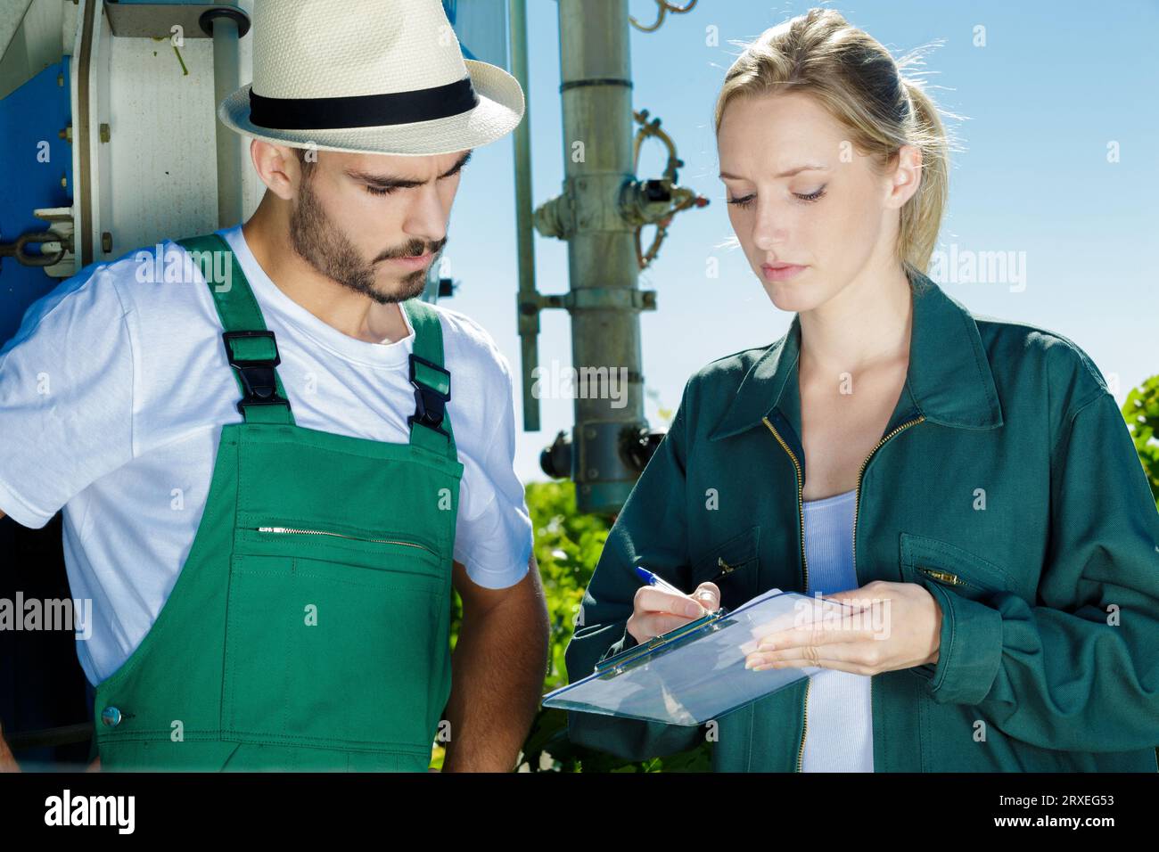 Man woman gardeners harvesting hi-res stock photography and images - Alamy