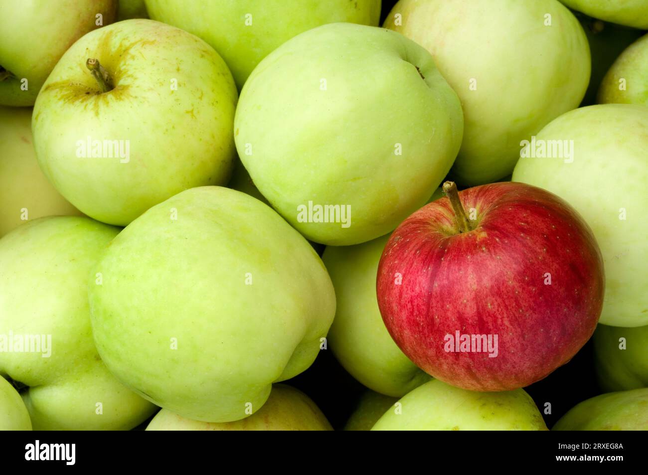 Stand with apples hi-res stock photography and images - Alamy