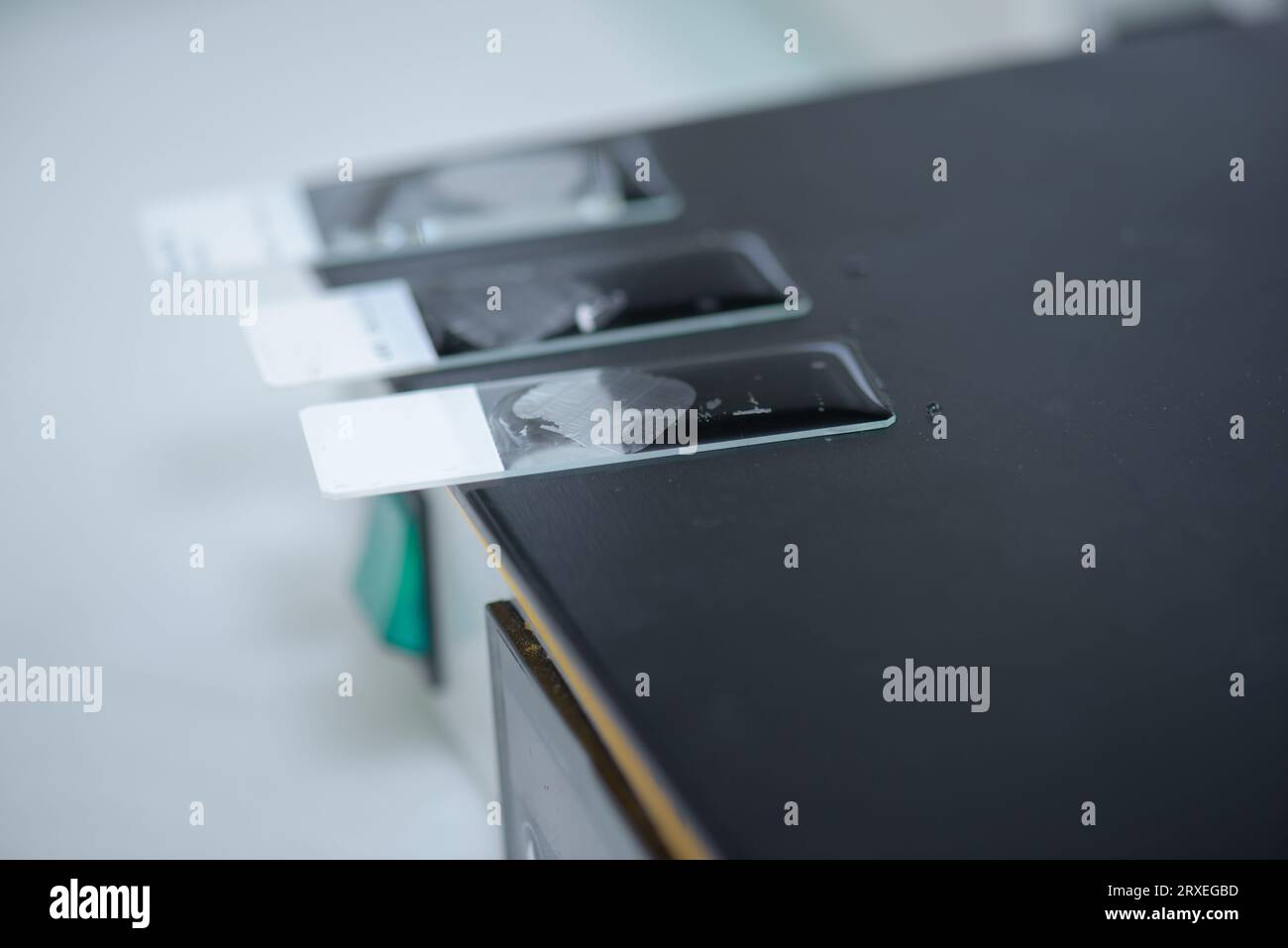 Microscope slides hi-res stock photography and images - Alamy