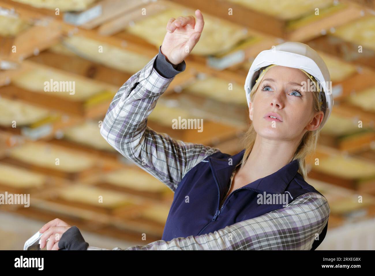 woman in builder uniform points at suspended ceiling Stock Photo - Alamy
