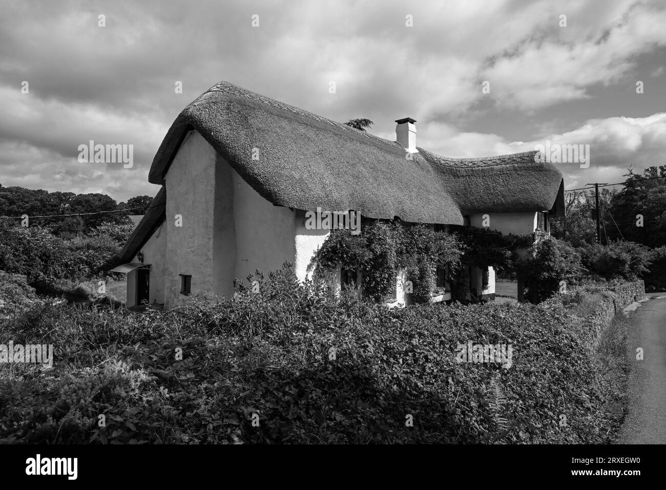 Roof thatched with reed Black and White Stock Photos & Images - Alamy