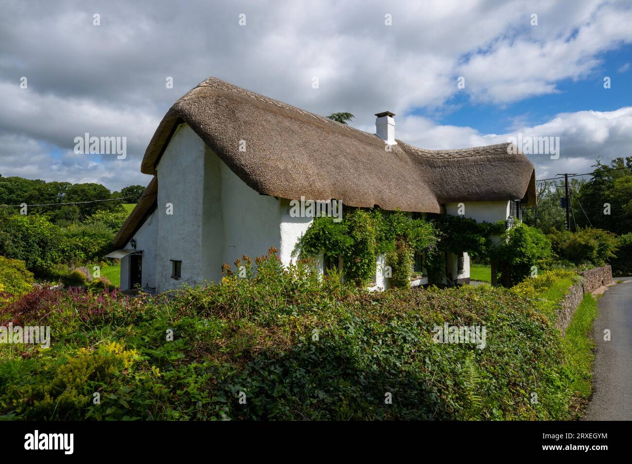 DODDISCOMBSLEIGH THATCHED ROOF HOUSE Stock Photo - Alamy