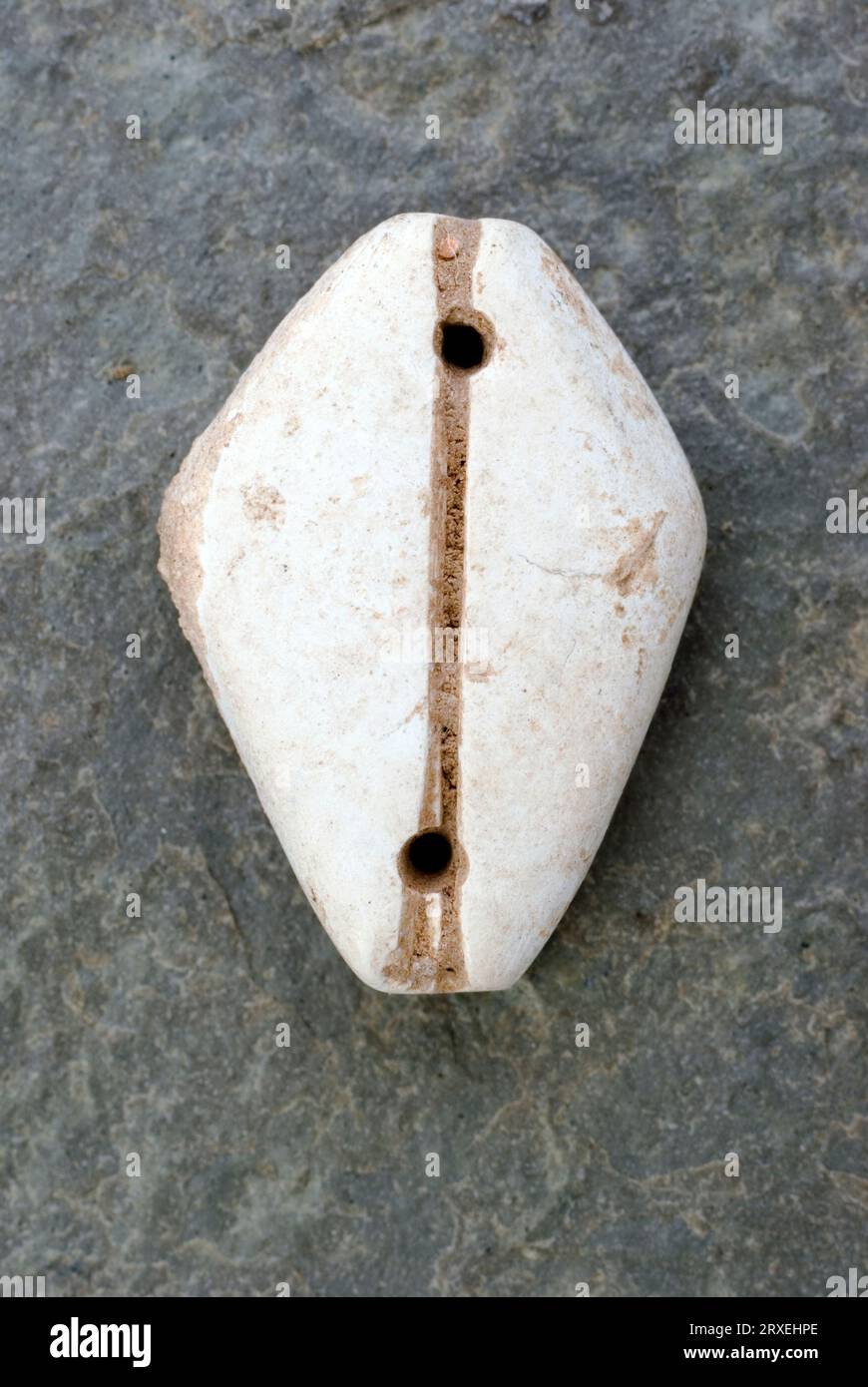 Ancient Chinese Cowrie Shell Imitation in Jade Stock Photo - Alamy