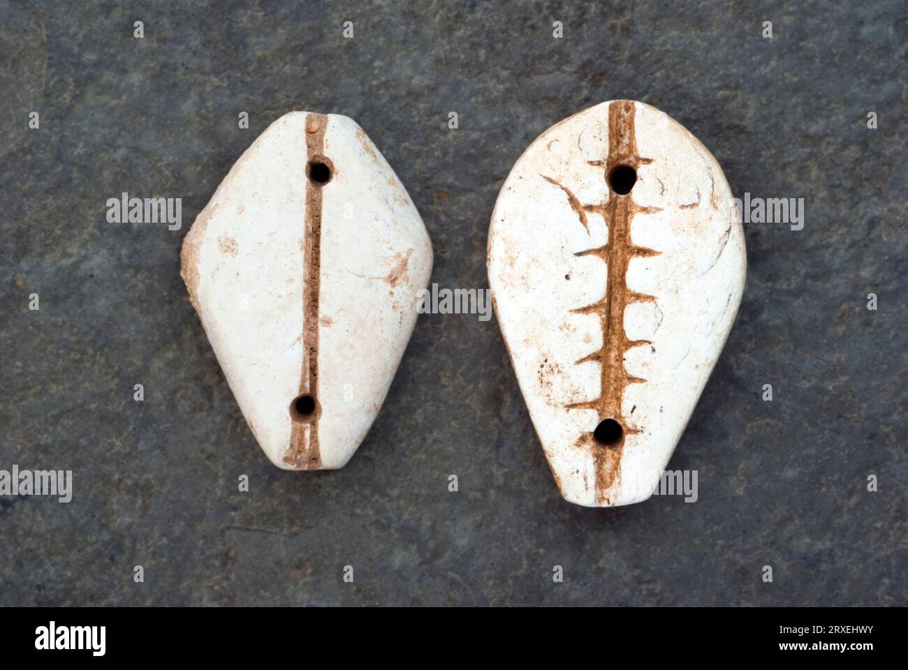 Shell currency china hi-res stock photography and images - Alamy