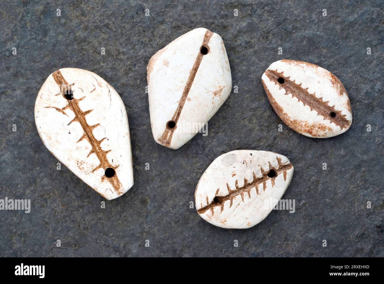 Ancient Chinese Cowrie Shell Imitations in Jade Stock Photo - Alamy