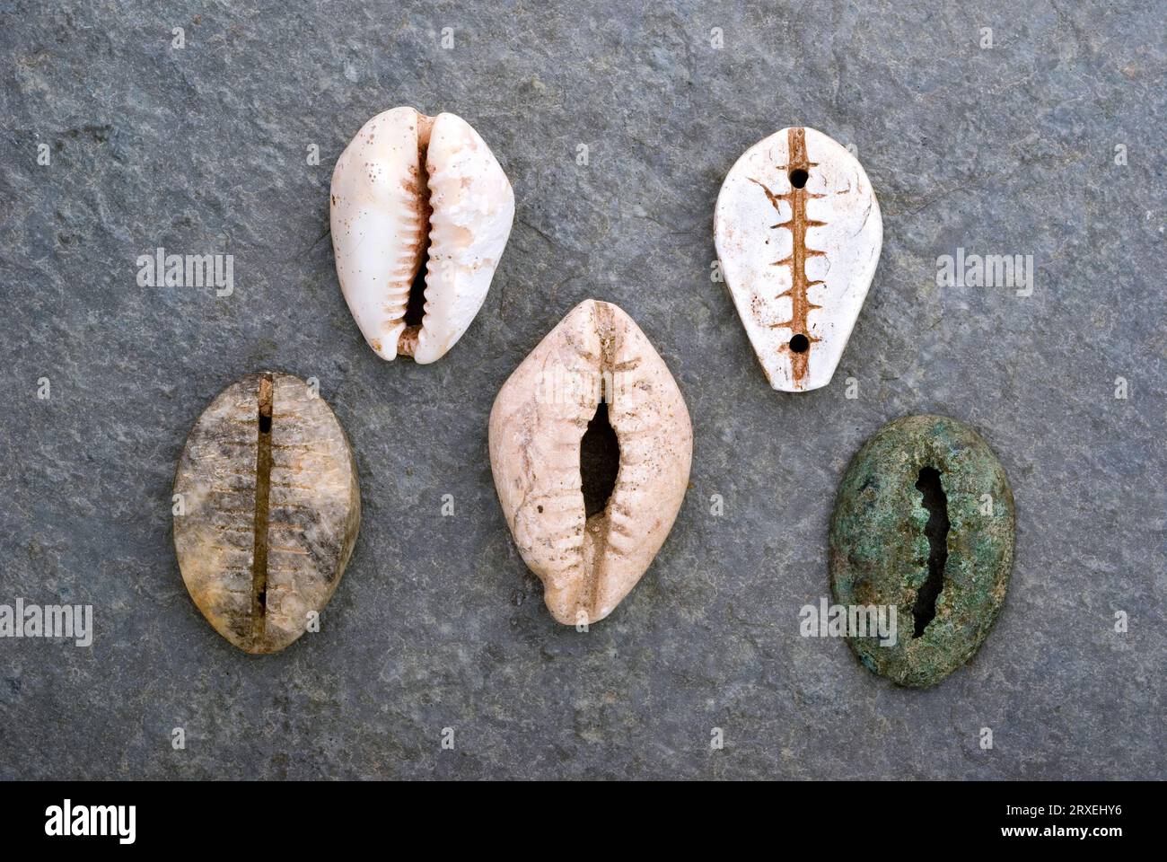 Cowrie shell money hi-res stock photography and images - Alamy