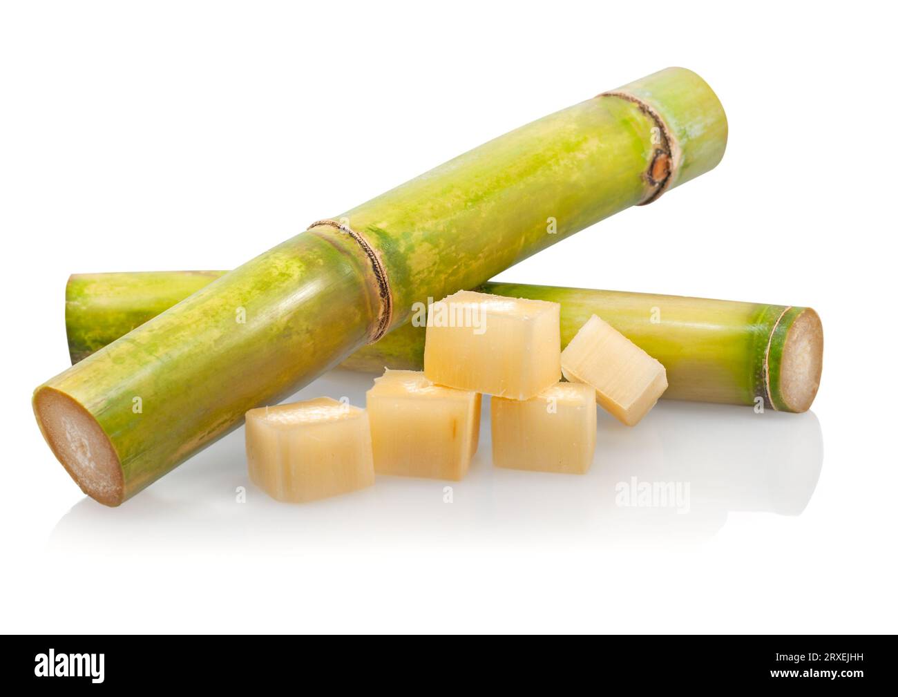 Single object of Sugar cane isolated on white background Stock Photo ...
