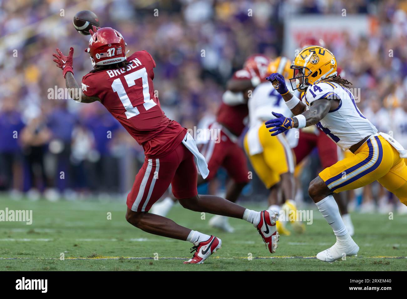 University of arkansas razorbacks hi-res stock photography and images - Alamy