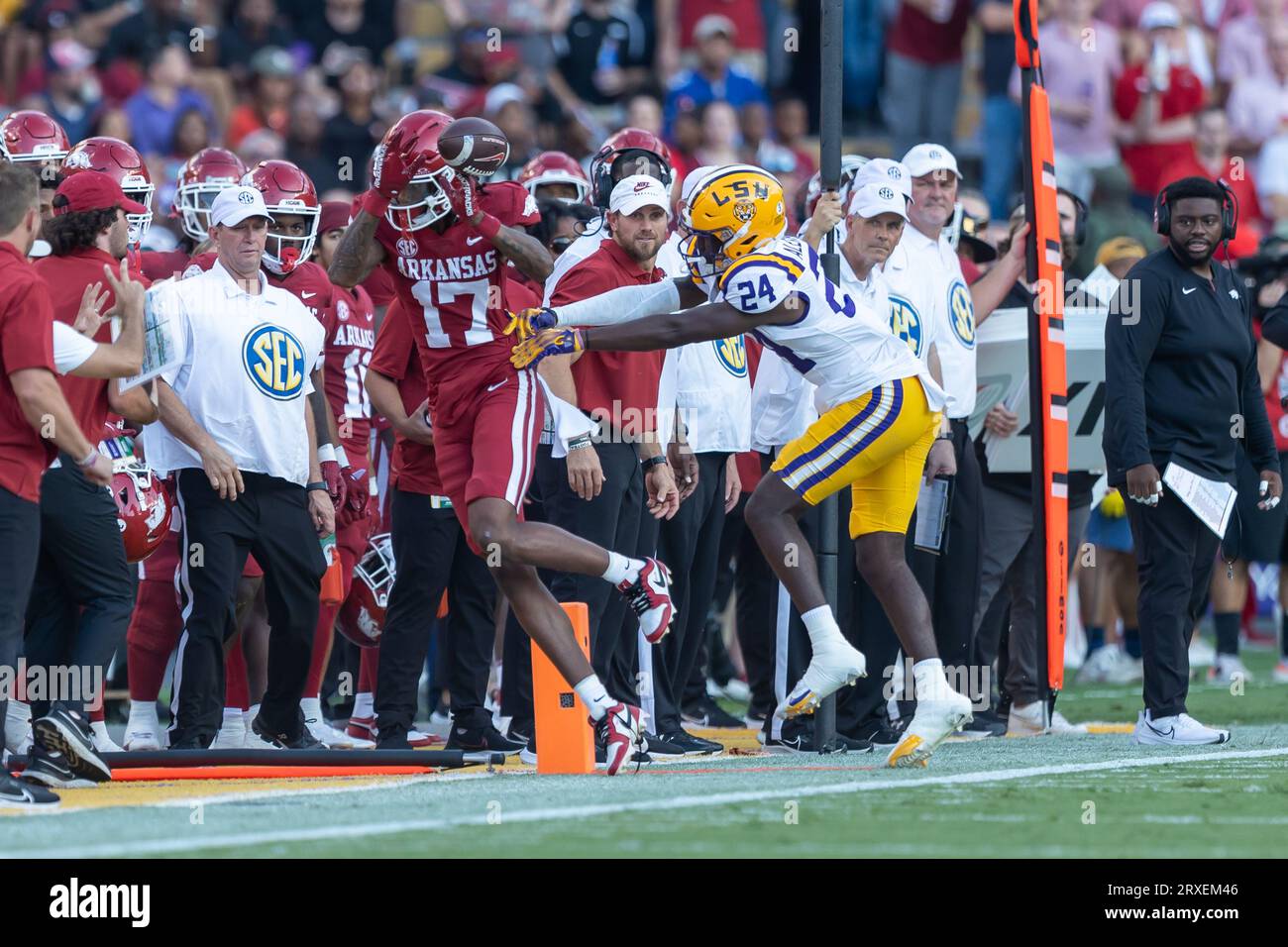 University of arkansas razorbacks hi-res stock photography and images ...