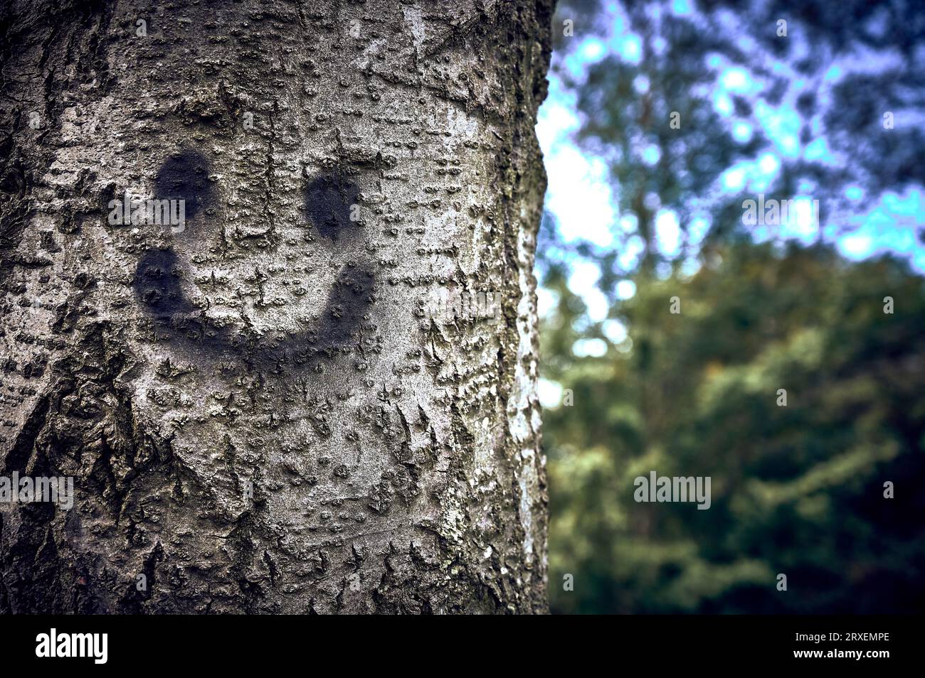 Smiley on tree hi-res stock photography and images - Alamy
