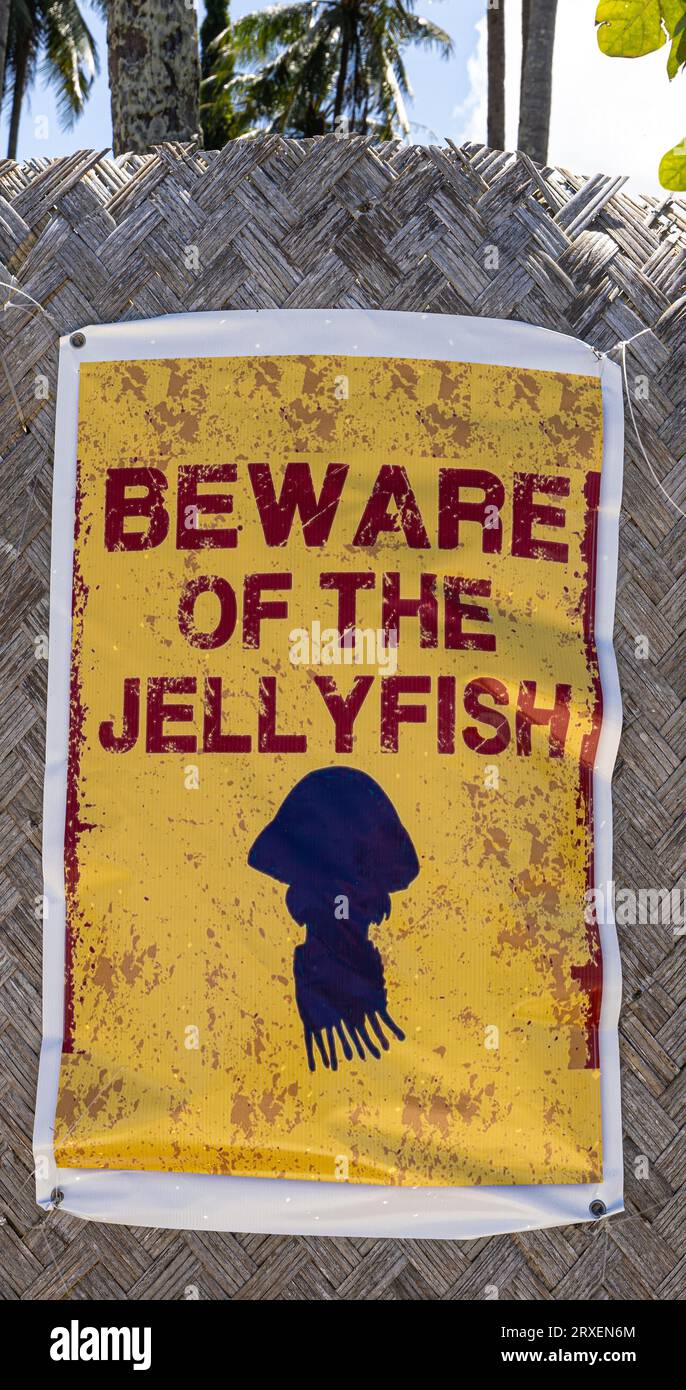 Sign warning of poisonous jellyfish on a beach near El Nido in the ...
