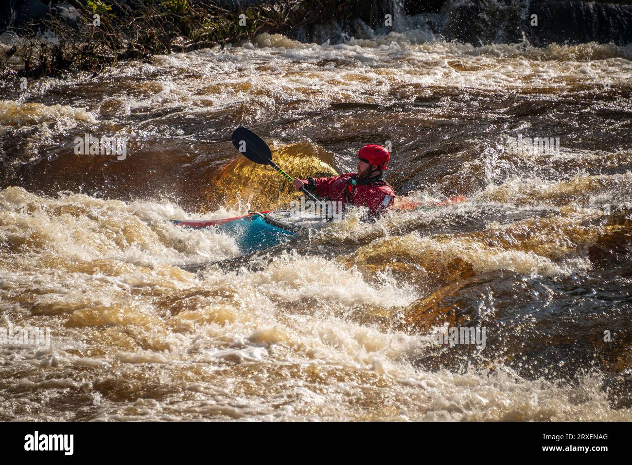 Whitewater rafting on the river Dee rapids at Town Falls in llangollen ...