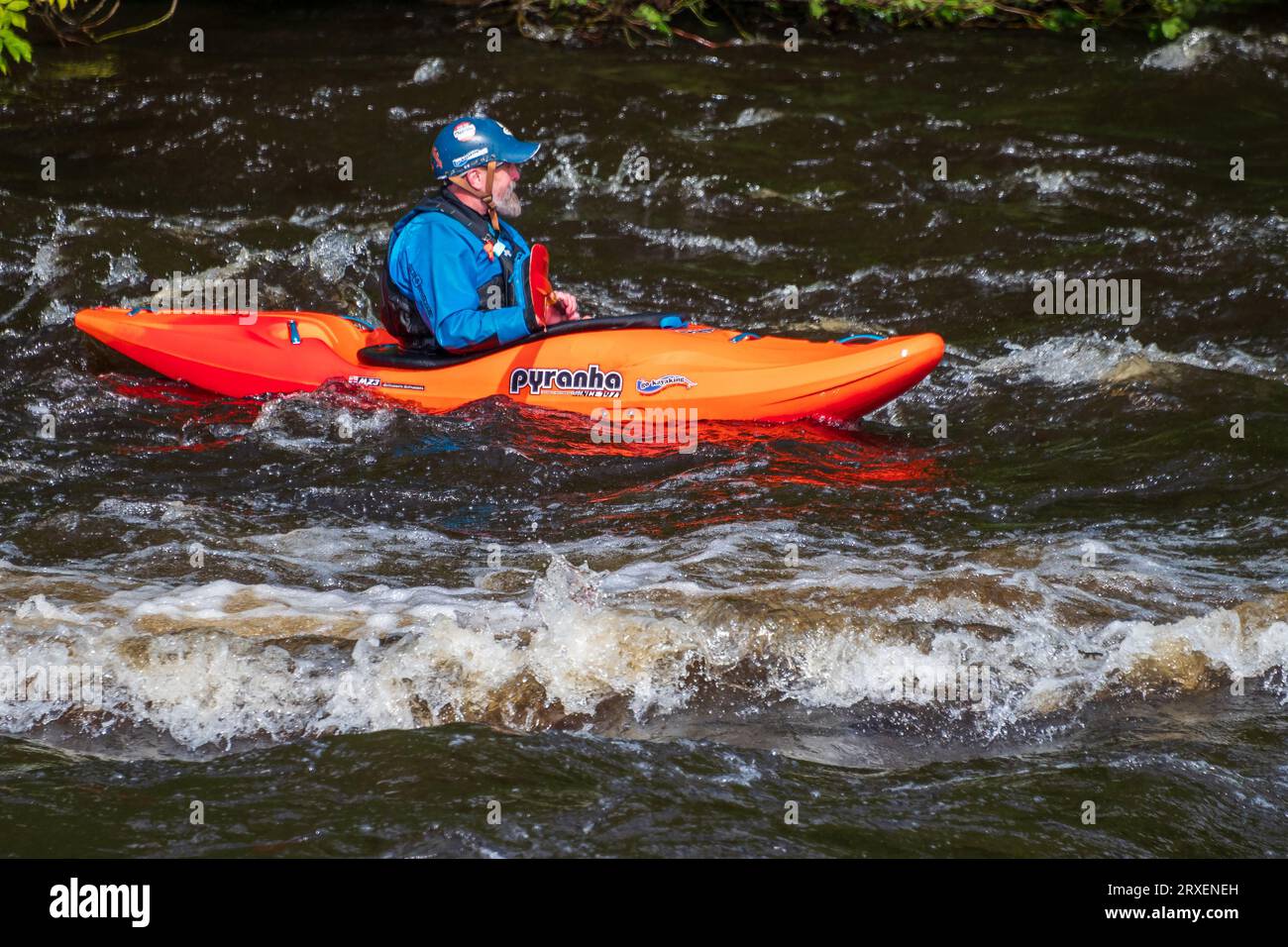 Whitewater kyaking on the river Dee rapids at Town Falls in llangollen ...