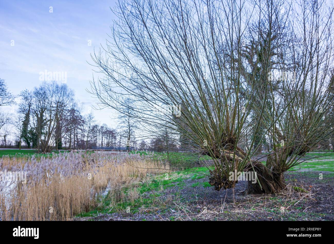 Impressions of the park and surroundings of Dargun Palace and Abbey, in ...