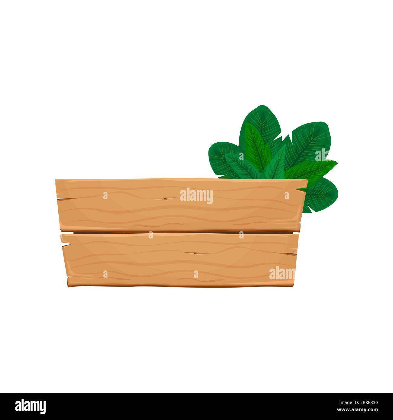 Banner board with tropical leaves. Wooden signboard template on a white ...