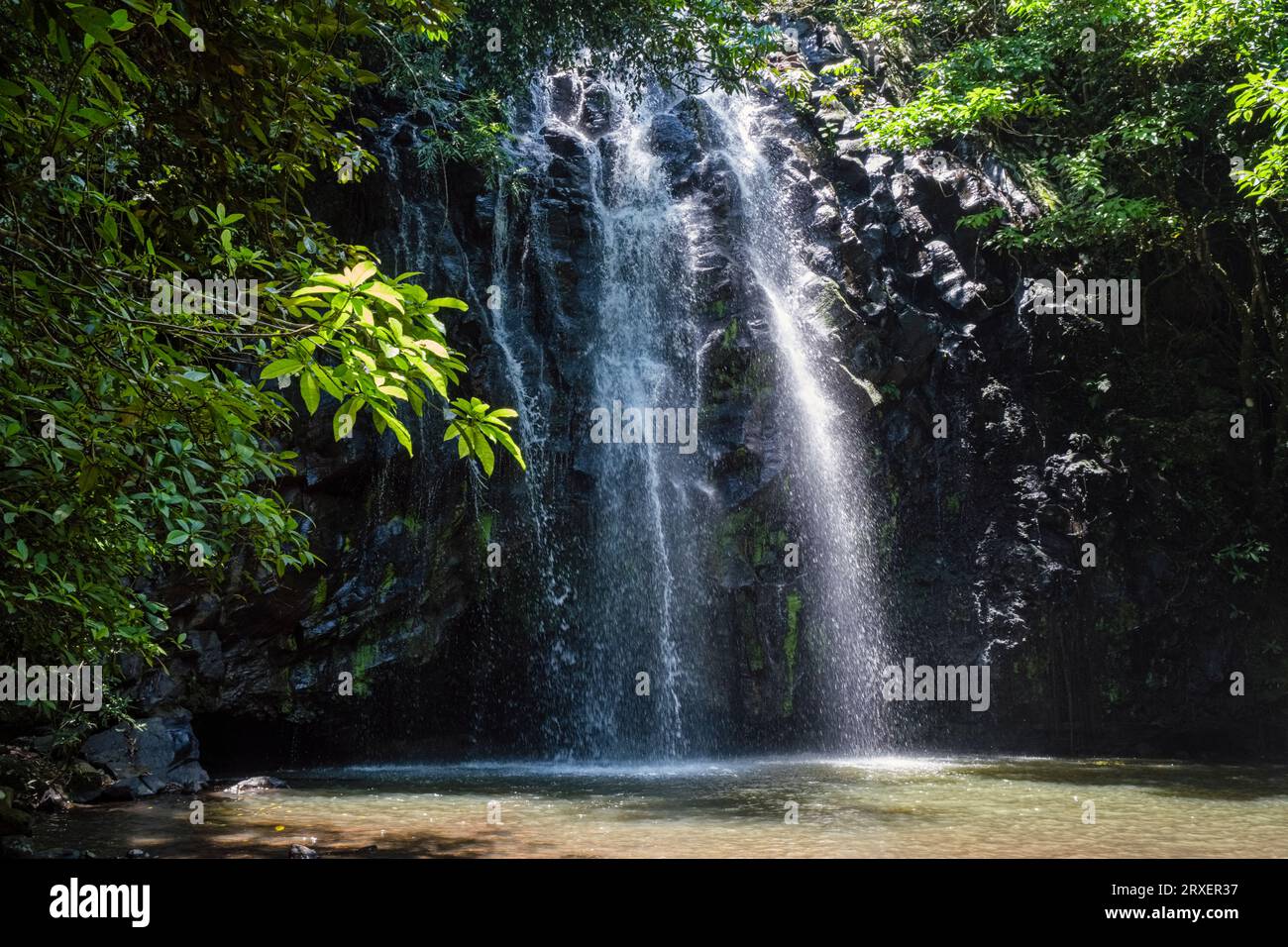 Ellinjaa Falls on the 'waterfall circuit' near Millaa Millaa, Atherton ...