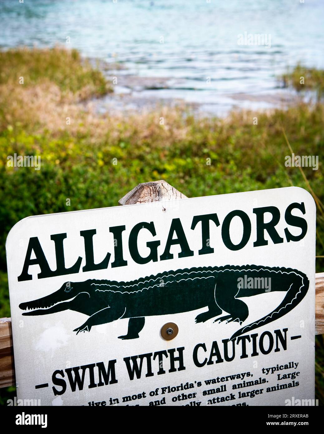 Alligator warning sign Stock Photo - Alamy