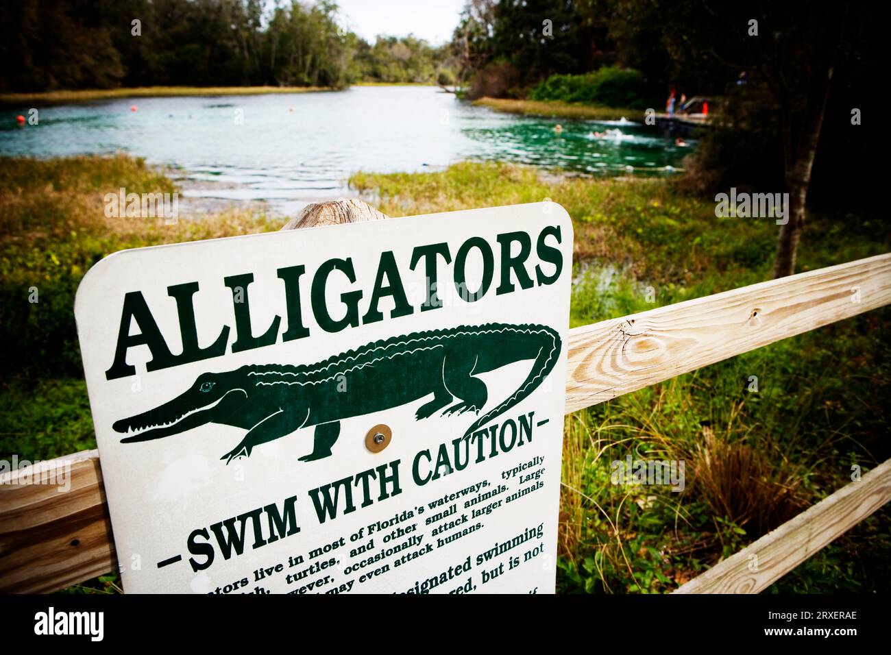 Alligator warning sign Stock Photo - Alamy
