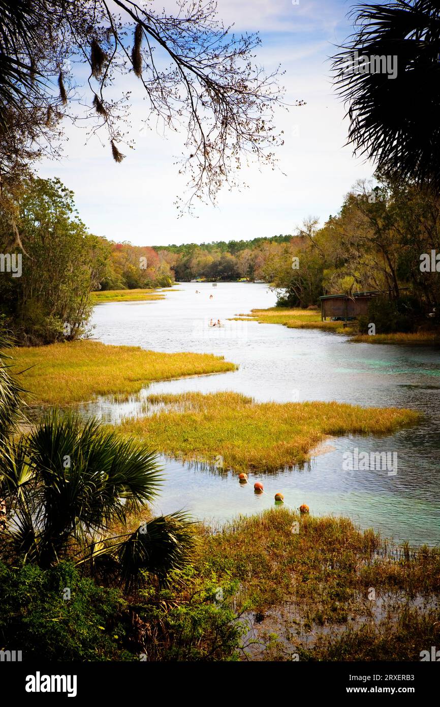 Crystal river preserve park florida hi-res stock photography and images ...