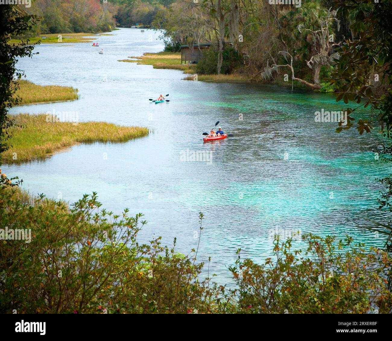 Rainbow Springs State Park, FL Stock Photo - Alamy