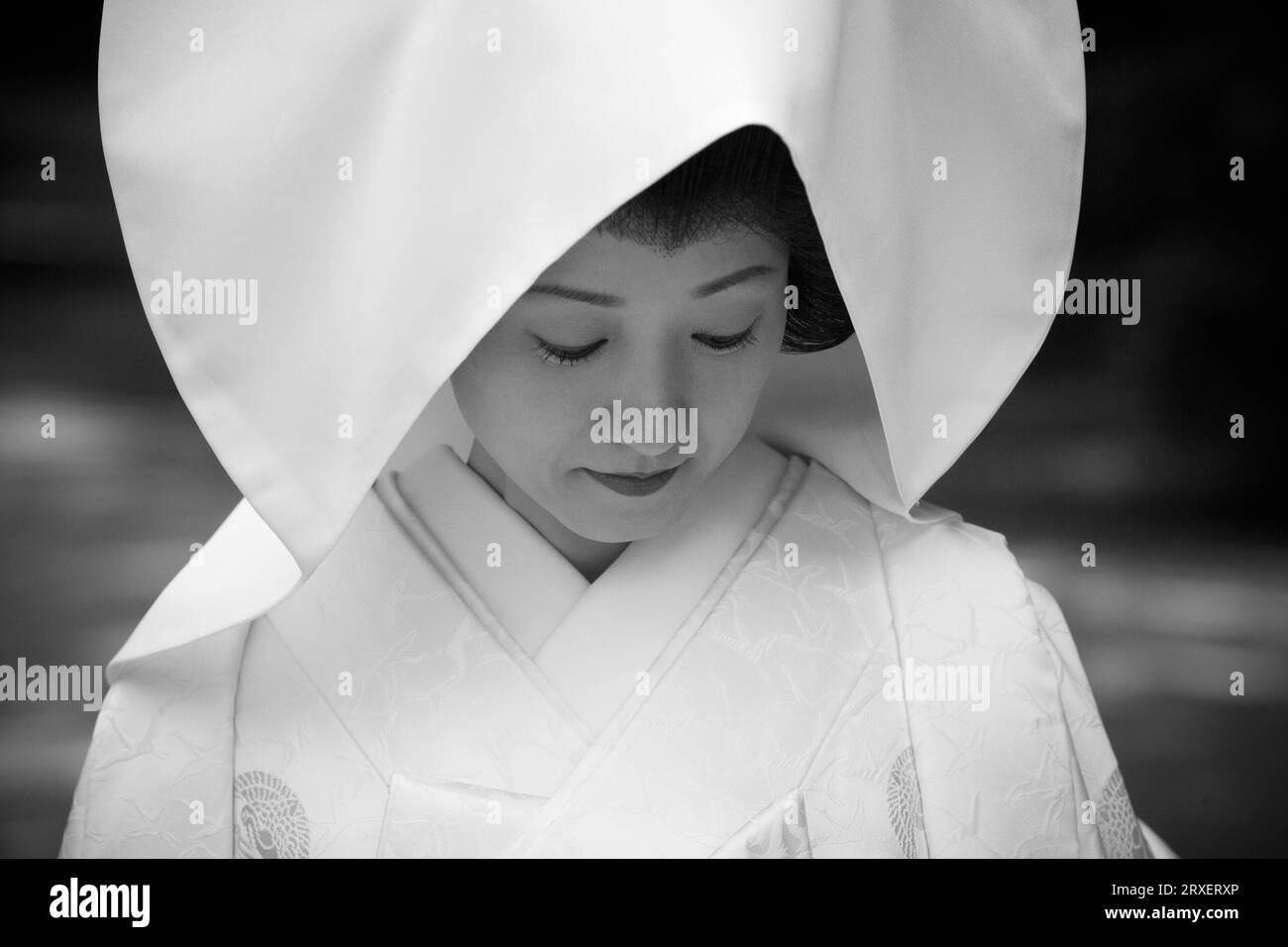 Portrait of a traditional Japanese bride Stock Photo - Alamy