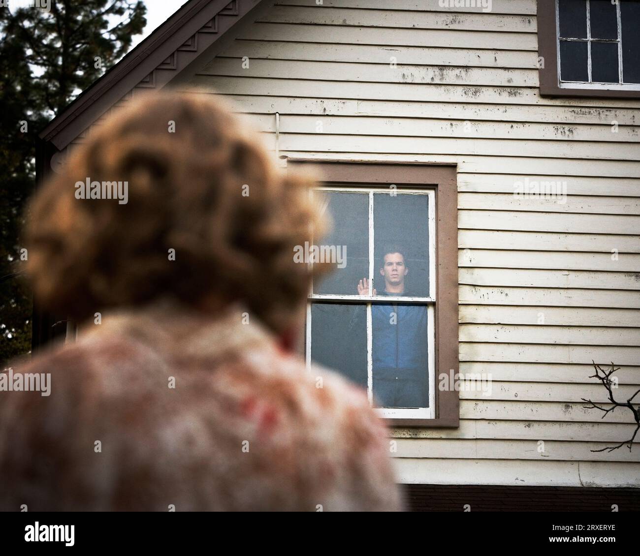 Over the shoulder view of a man standing in a window Stock Photo - Alamy