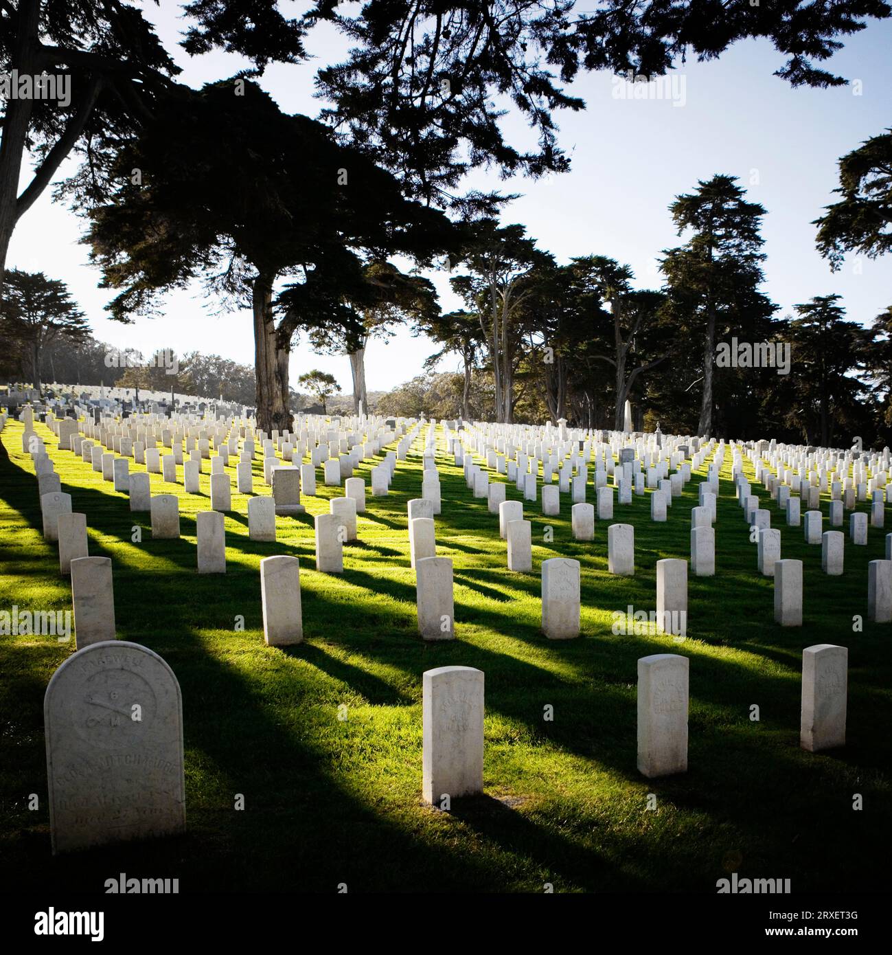 Tombstones in the San Francisco National Cemetery, California Stock ...