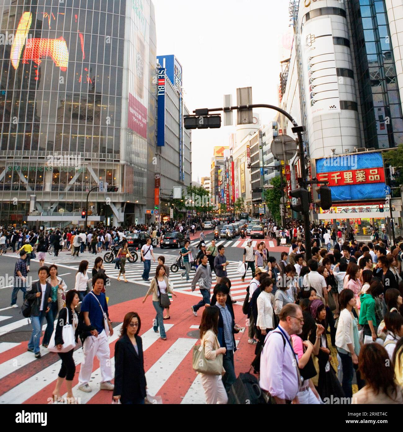 Pedestrians in zebra crossing, Shibuya, Tokyo, Japan Stock Photo - Alamy