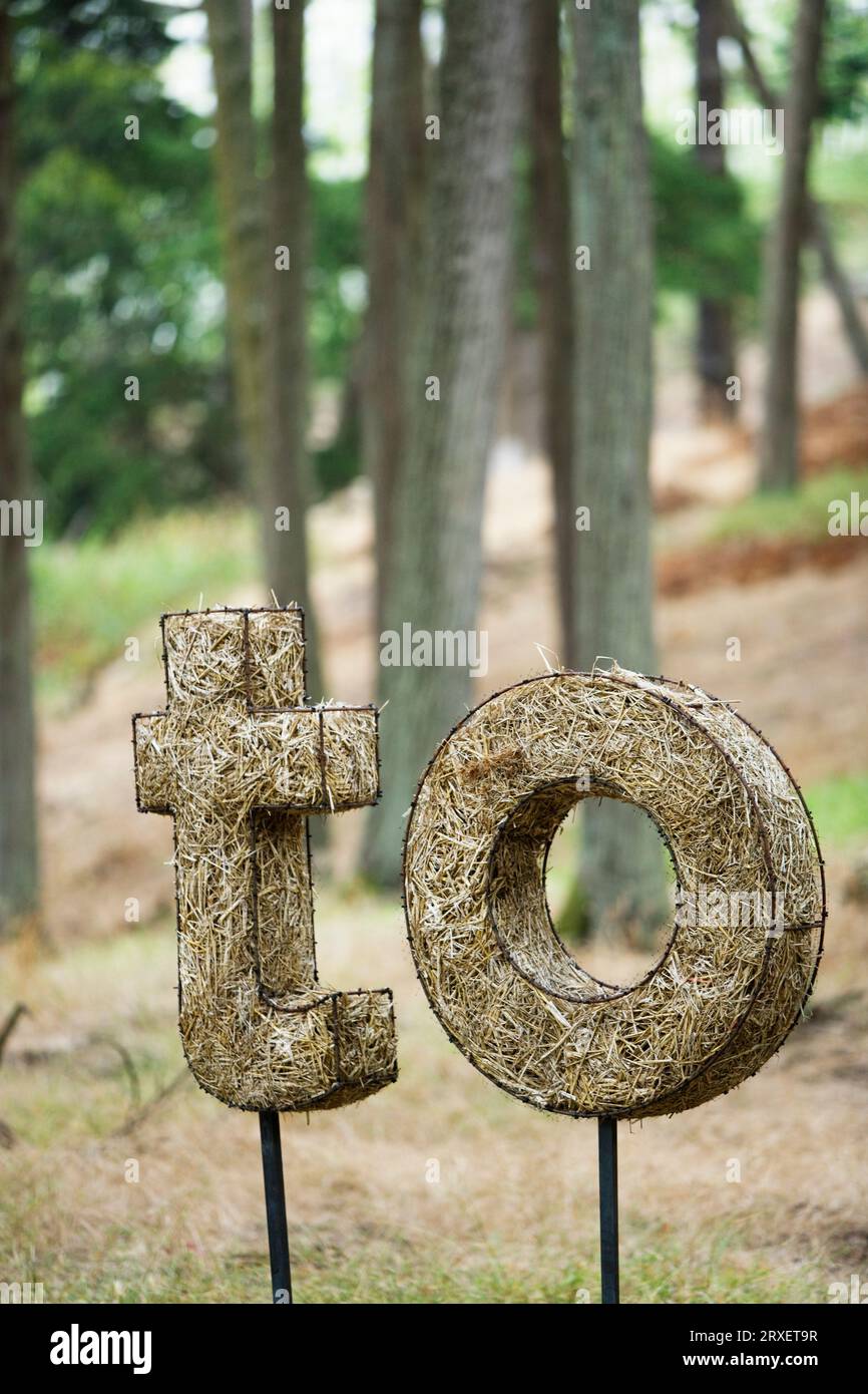 Part of the words 'adapt to change' in Philippe Becker Design's Winged ...