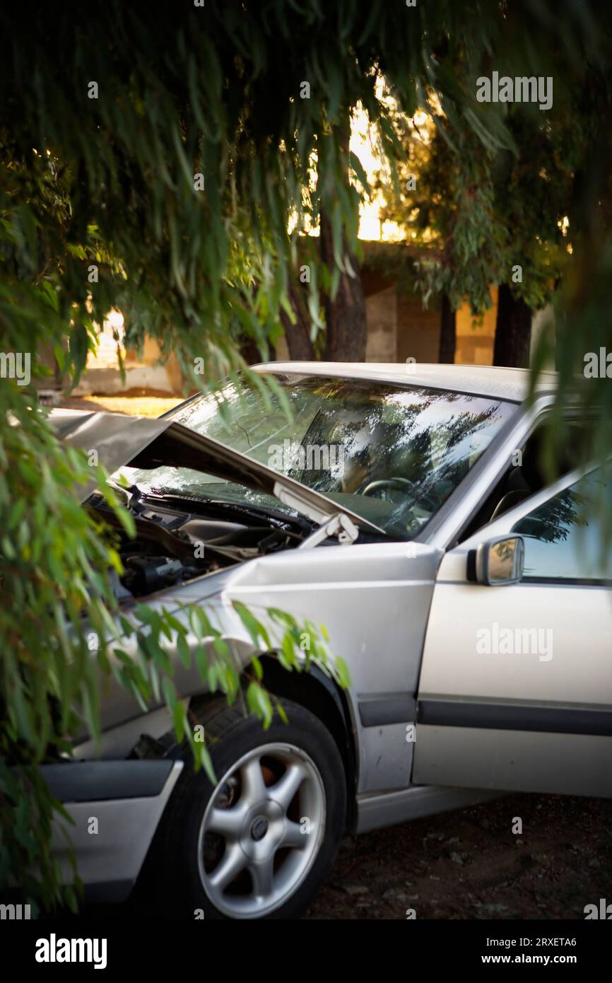 Car crashed into a tree Stock Photo - Alamy