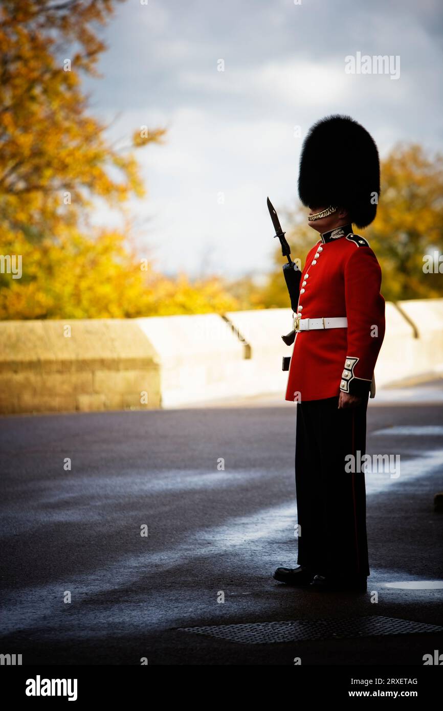 Guard image hi-res stock photography and images - Alamy