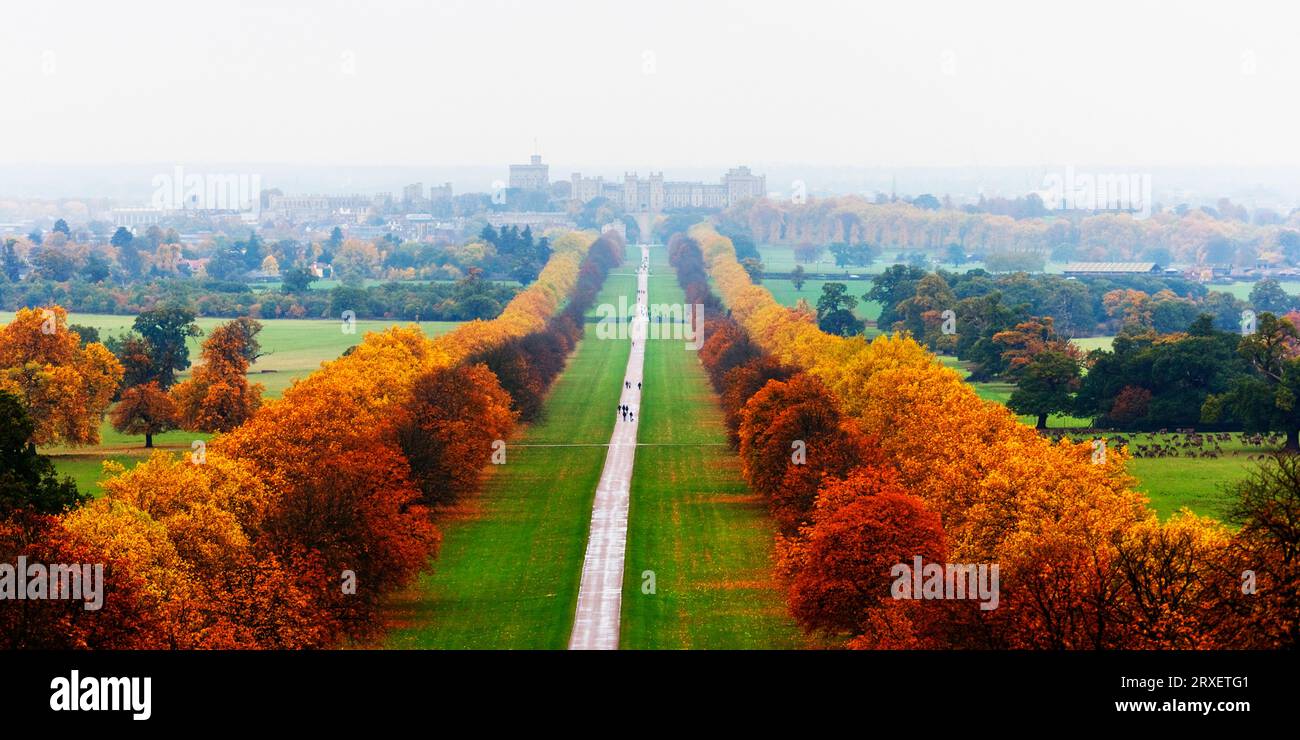 Windsor Great Park with Windsor Castle Stock Photo - Alamy