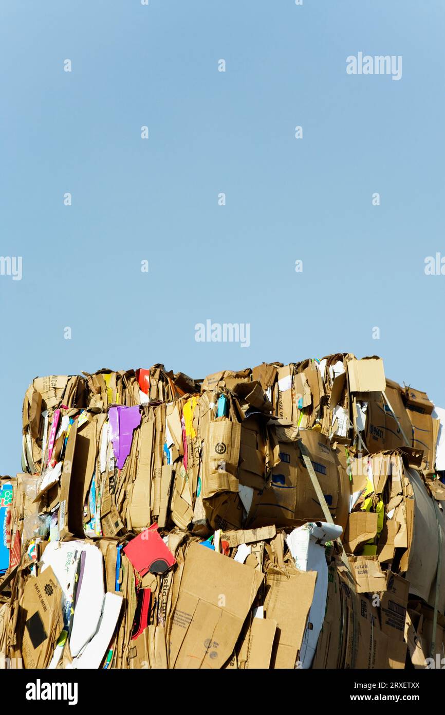 Bundles of compressed cardboard ready for recycling Stock Photo - Alamy