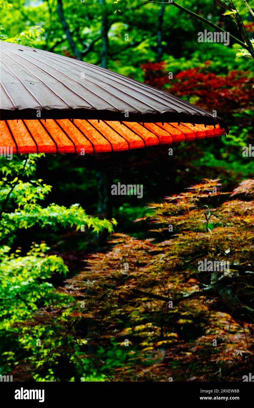 Red garden parasol hi-res stock photography and images - Alamy