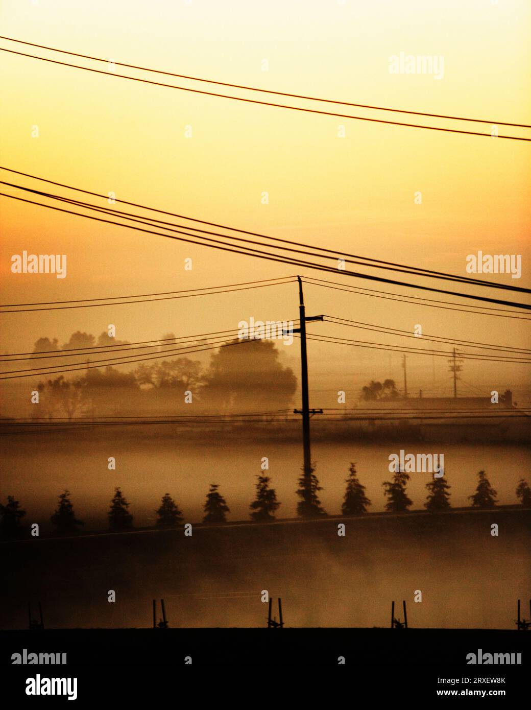 Fog, trees, electric tower and power lines Stock Photo - Alamy